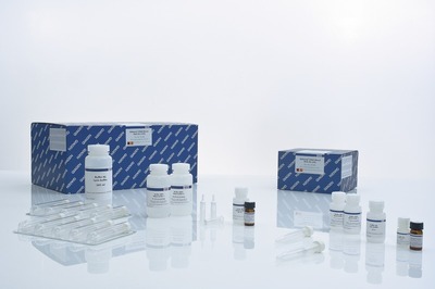 血液DNA提取试剂盒 QIAamp DNA Blood Midi Kit (20) 货号:51183 - 北京金泰宏达生物科技有限公司