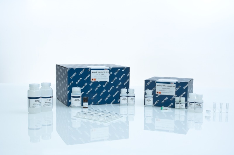 人类组织和细胞DNA提取试剂盒 QIAamp DNA Mini Kit (250) 货号:51306 - 北京金泰宏达生物科技有限公司